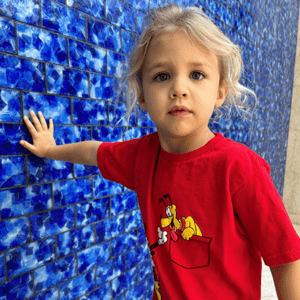 Sensory Arts Garden & Pavilion - Els for Autism