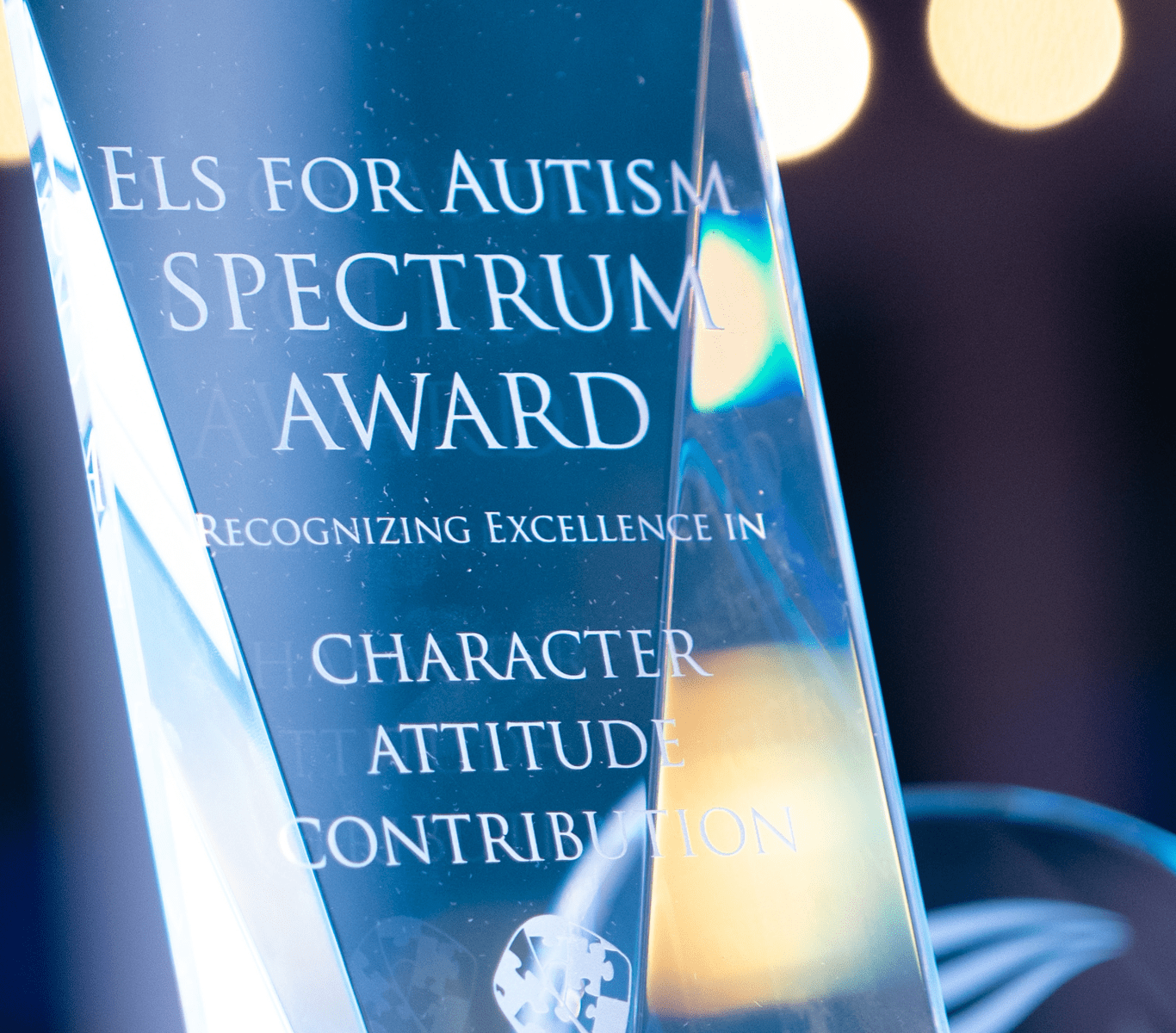 Spectrum Award - Els for Autism